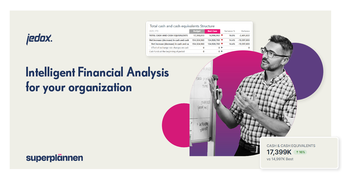 Jedox: Financial Analysis Software for your organization